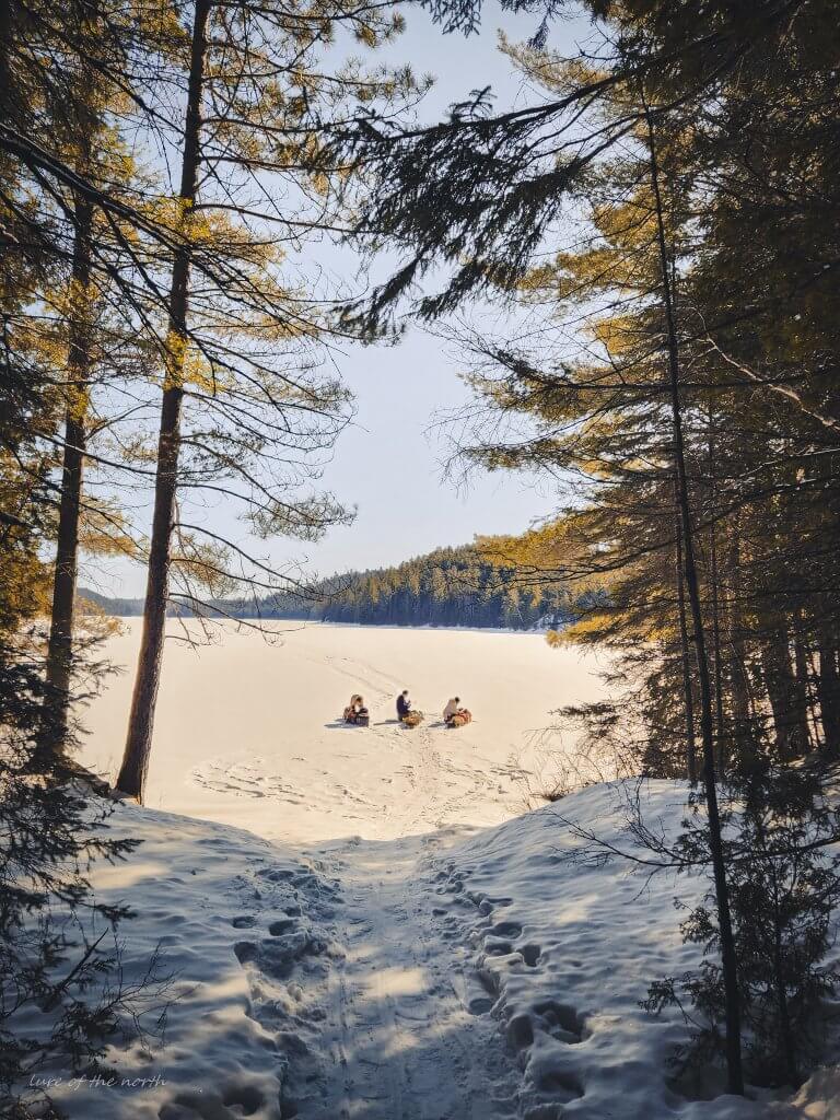 2025 Winter Wonderland: A Slow and Steady Snowshoe Expedition