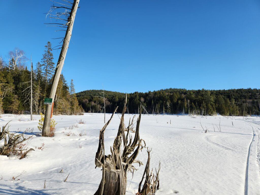 2025 Winter Wonderland: A Slow and Steady Snowshoe Expedition